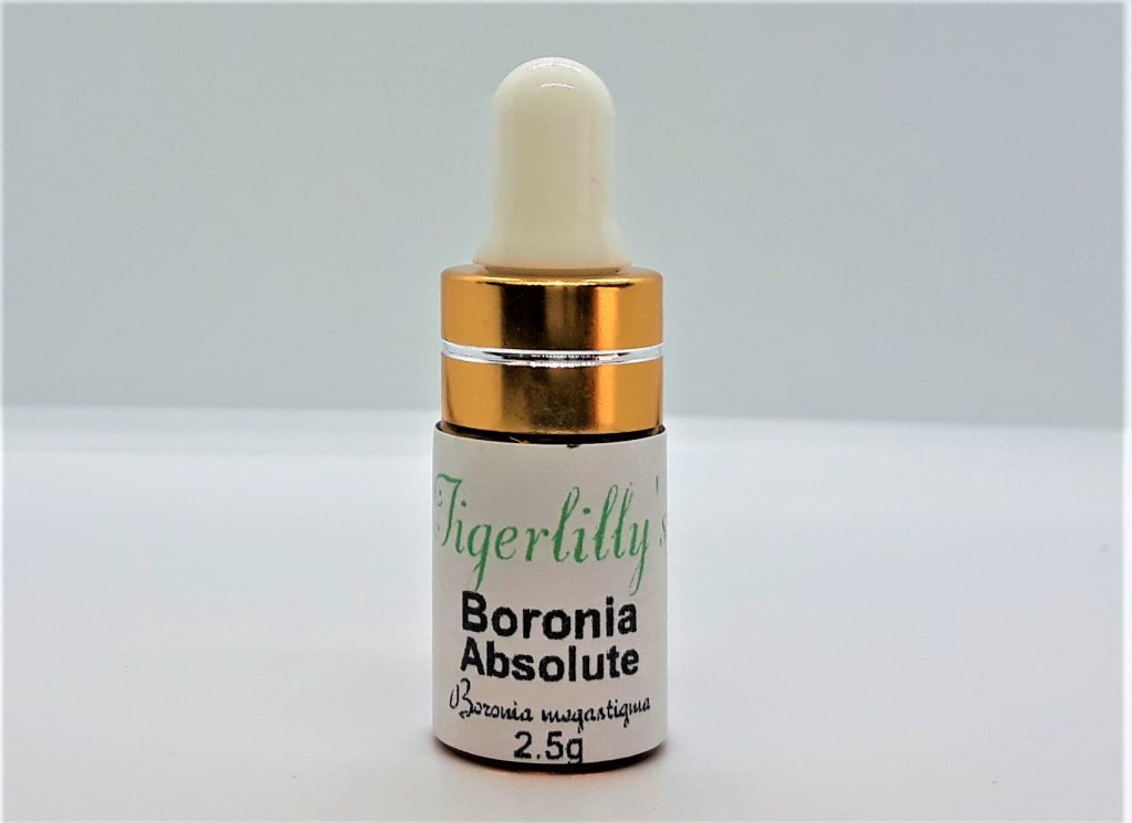 Boronia Absolute - Organic - Tigerlilly's - Natural Skin Care Products ...